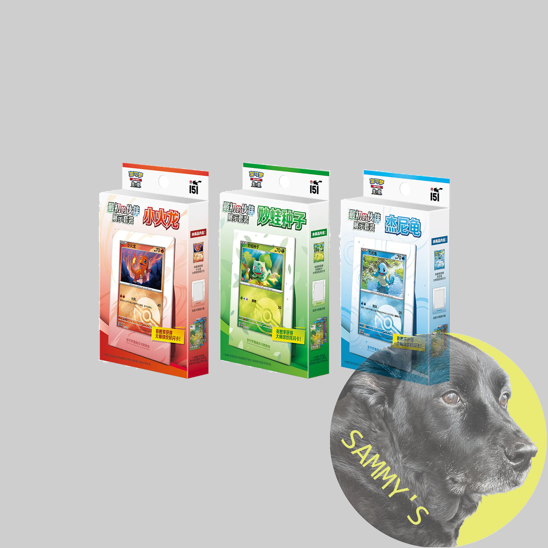 SCN First Partner Display Box – Sammy's Card Shop
