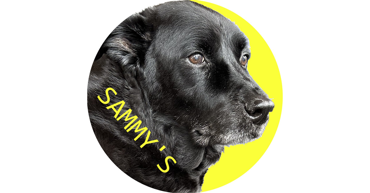Sammy's Card Shop – Sammy's Card Shop